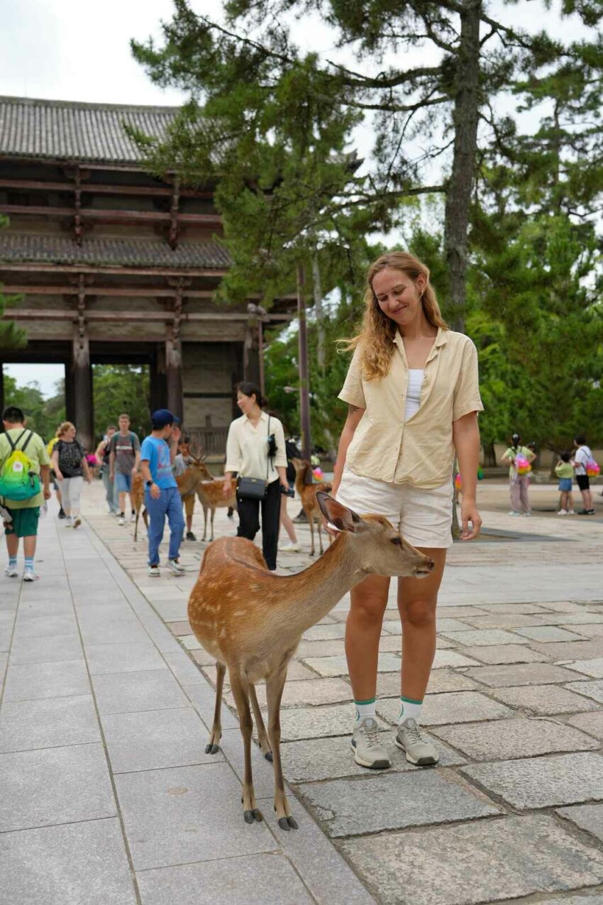 Nara - miasto w Japonii, gdzie pokłonią Ci się urocze jelonki ...